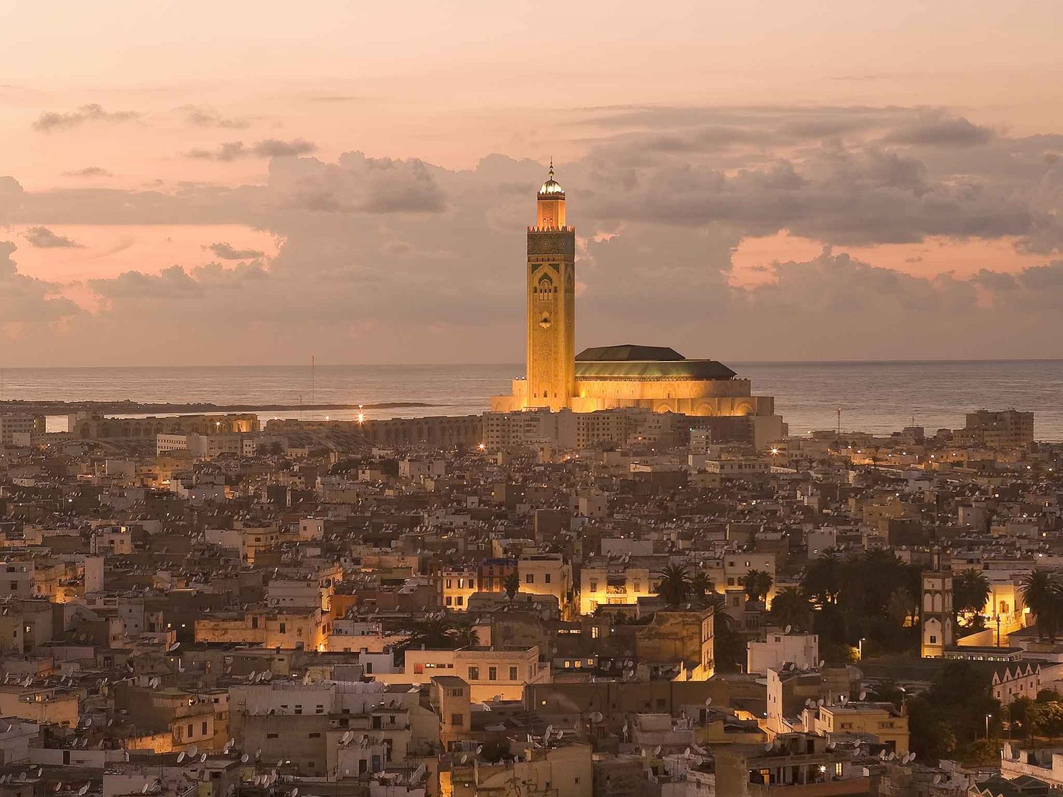 Moha Vacations - Your Gateway To Explore Morocco